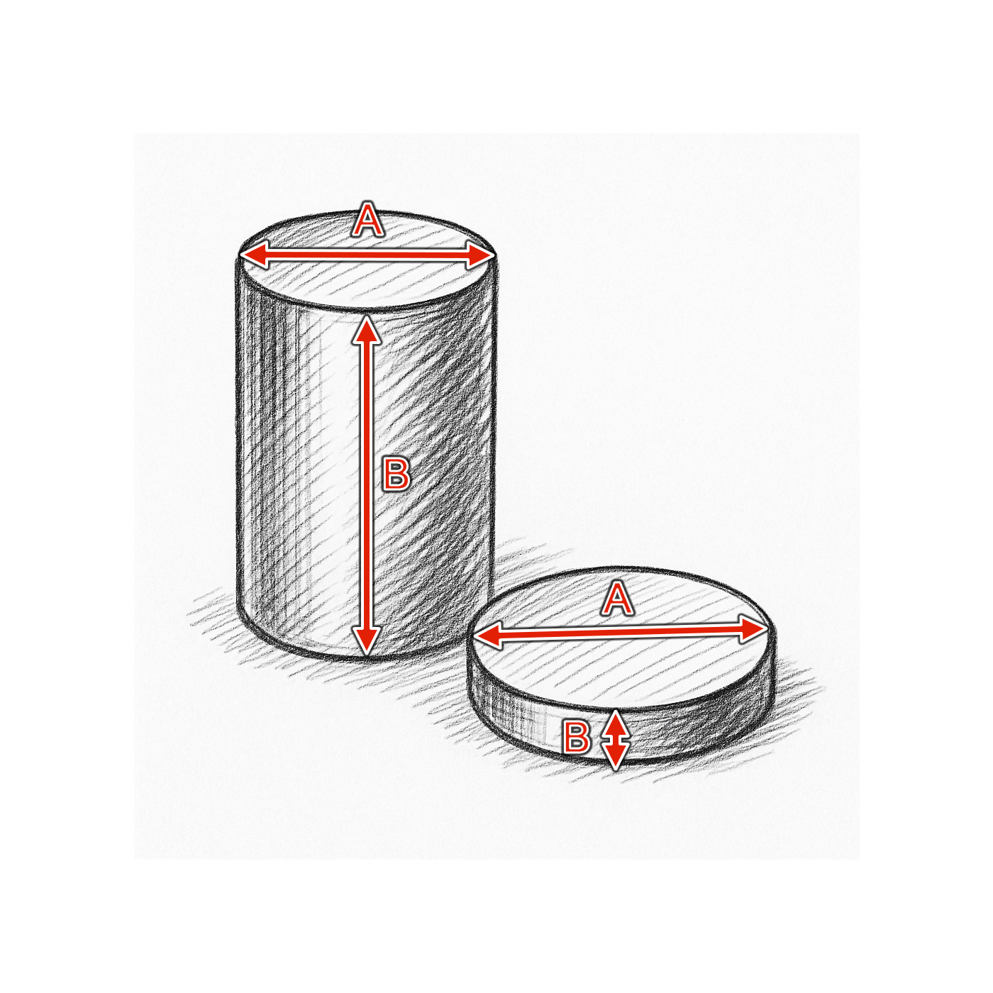 Set of 20 strong magnets (13x2 mm, cylinder/disc, neodymium) - Wood ...